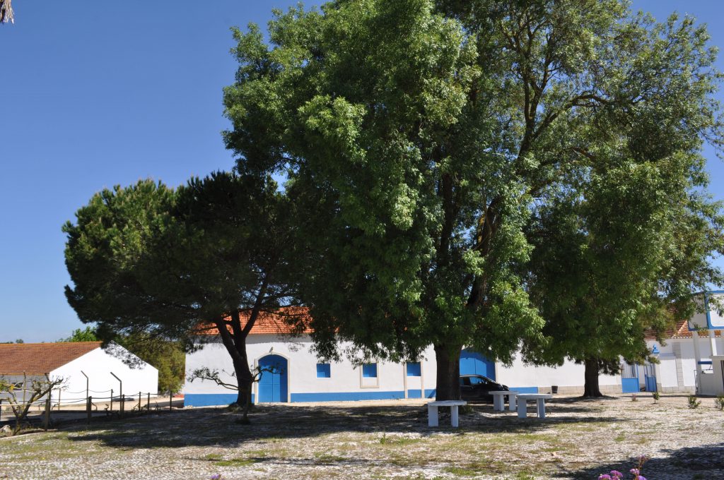 Portugal EasyCamp | PORTUGAL EASYCAMP