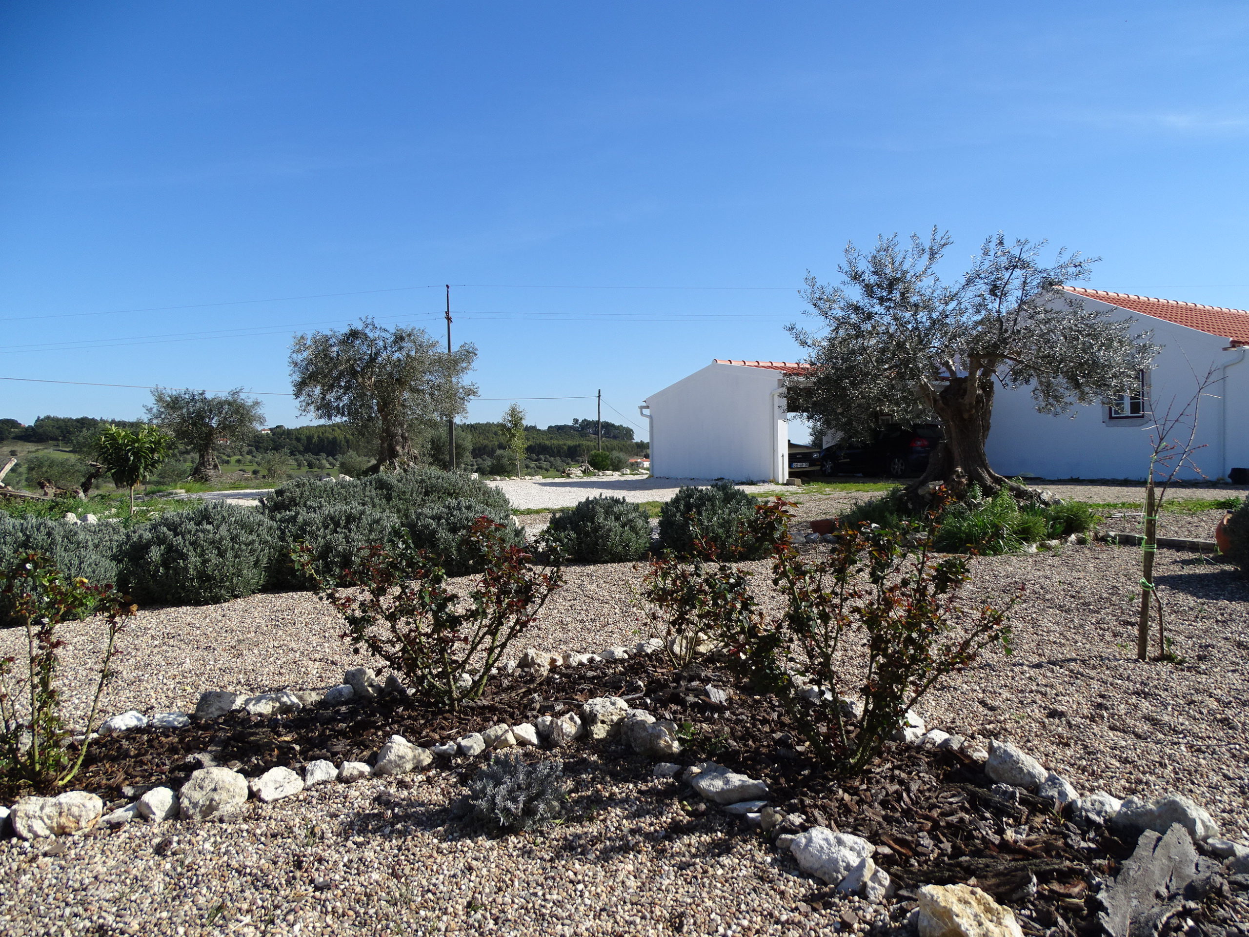 Portugal EasyCamp | PORTUGAL EASYCAMP
